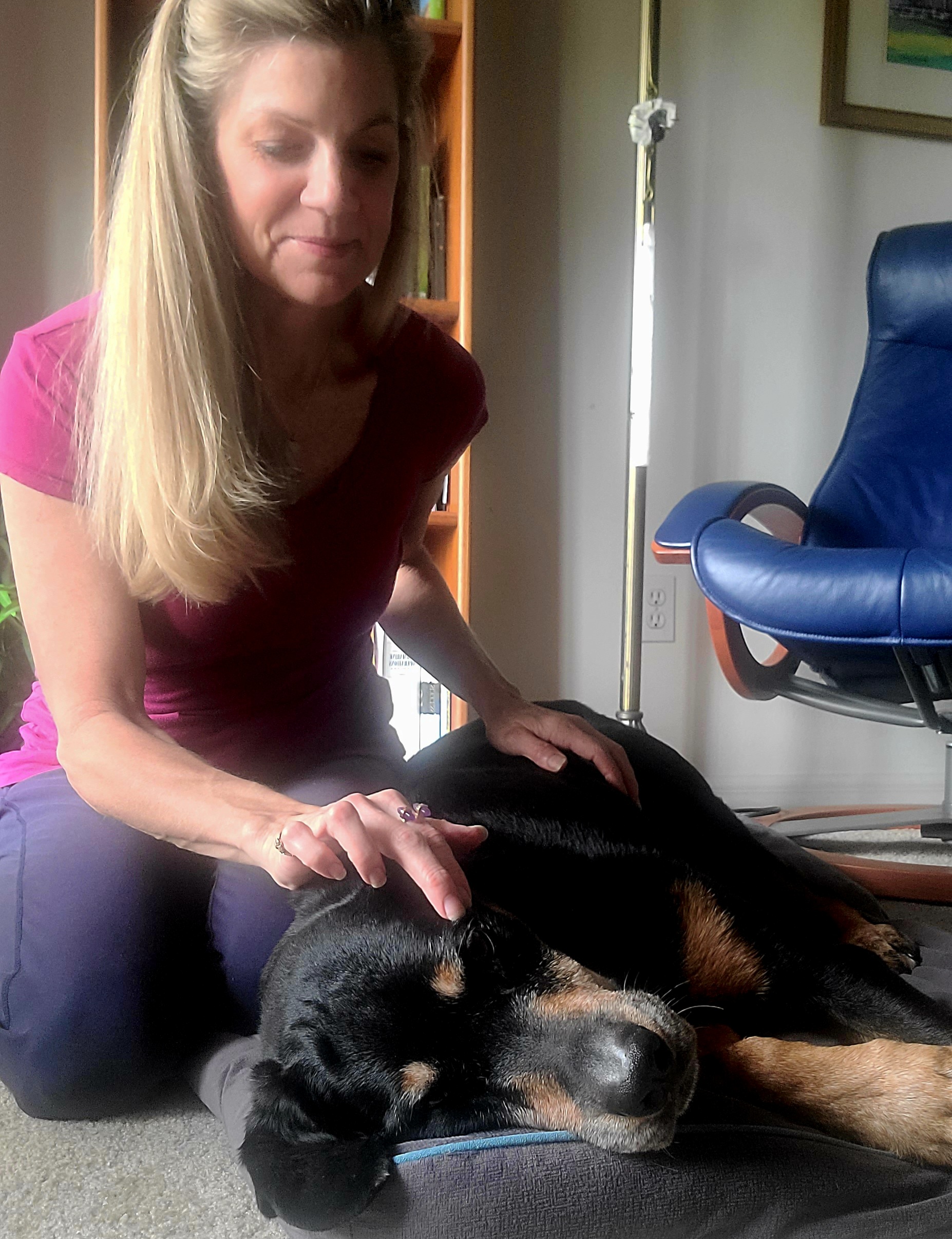 My Services – For Your Animal’s Health